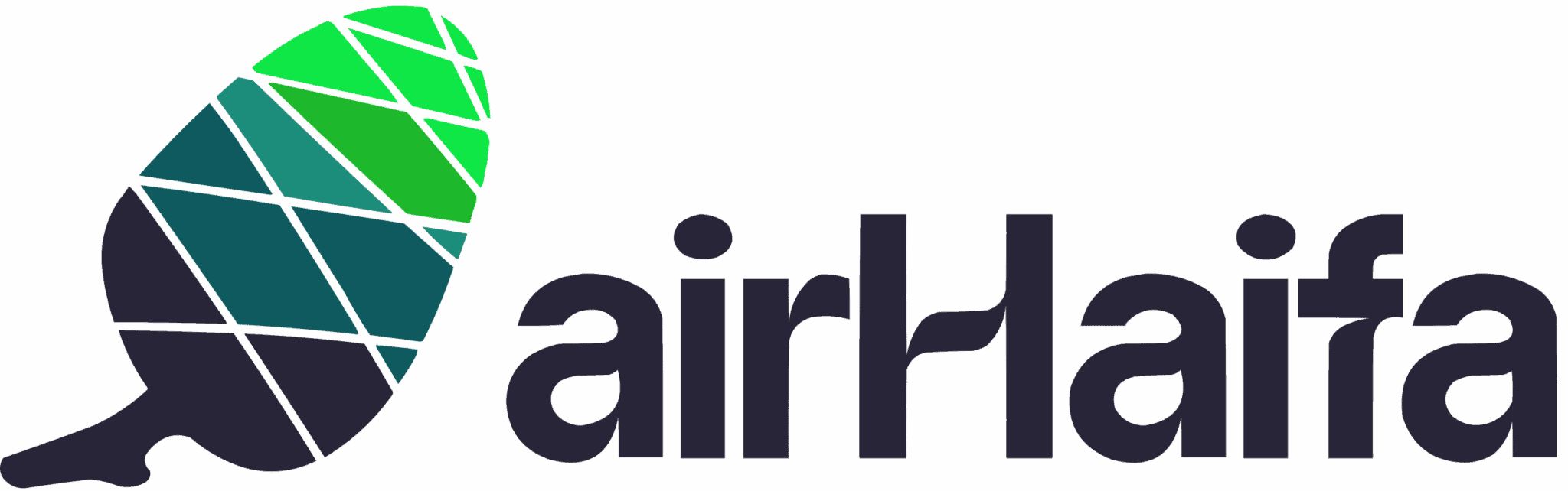 GO7 Customers - Airline Partners